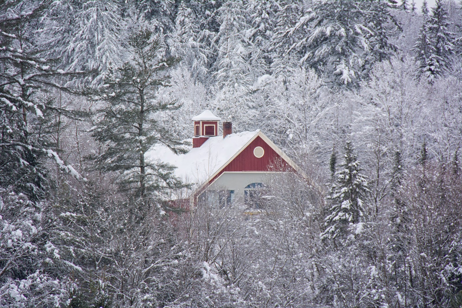Carol's View Of New England: Vermont Maple Open House Weekend 2019