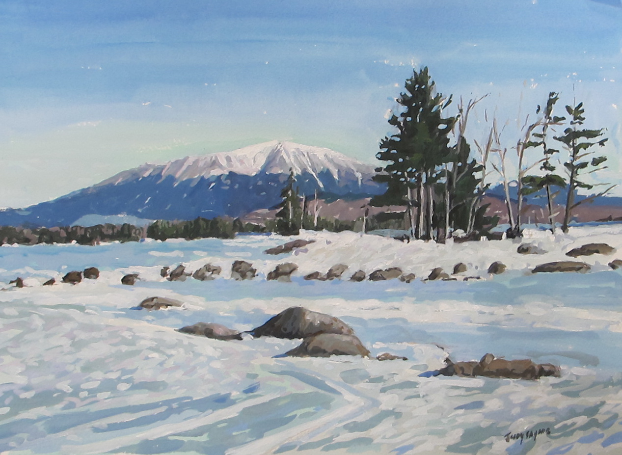 Judy Taylor Studio and Gallery