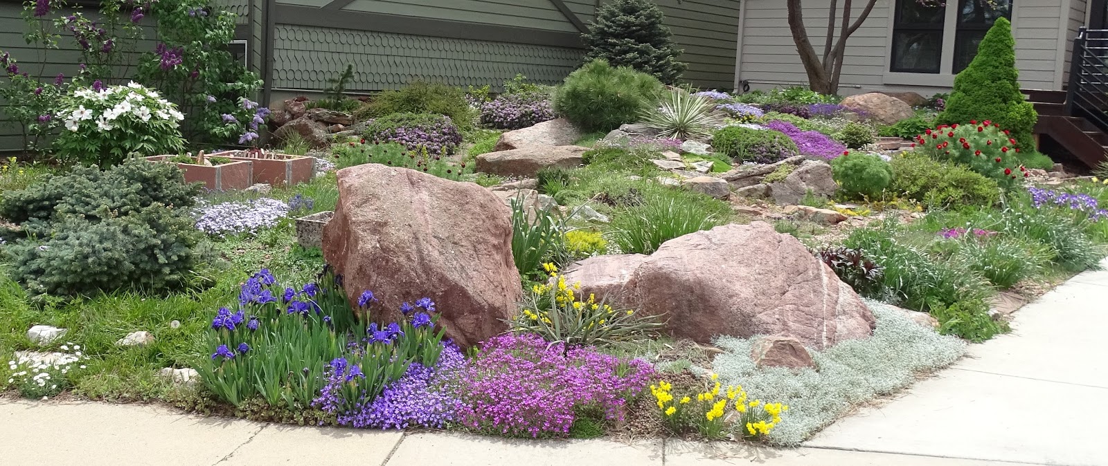 Prairiebreak: Why a rock garden? THIS is why!