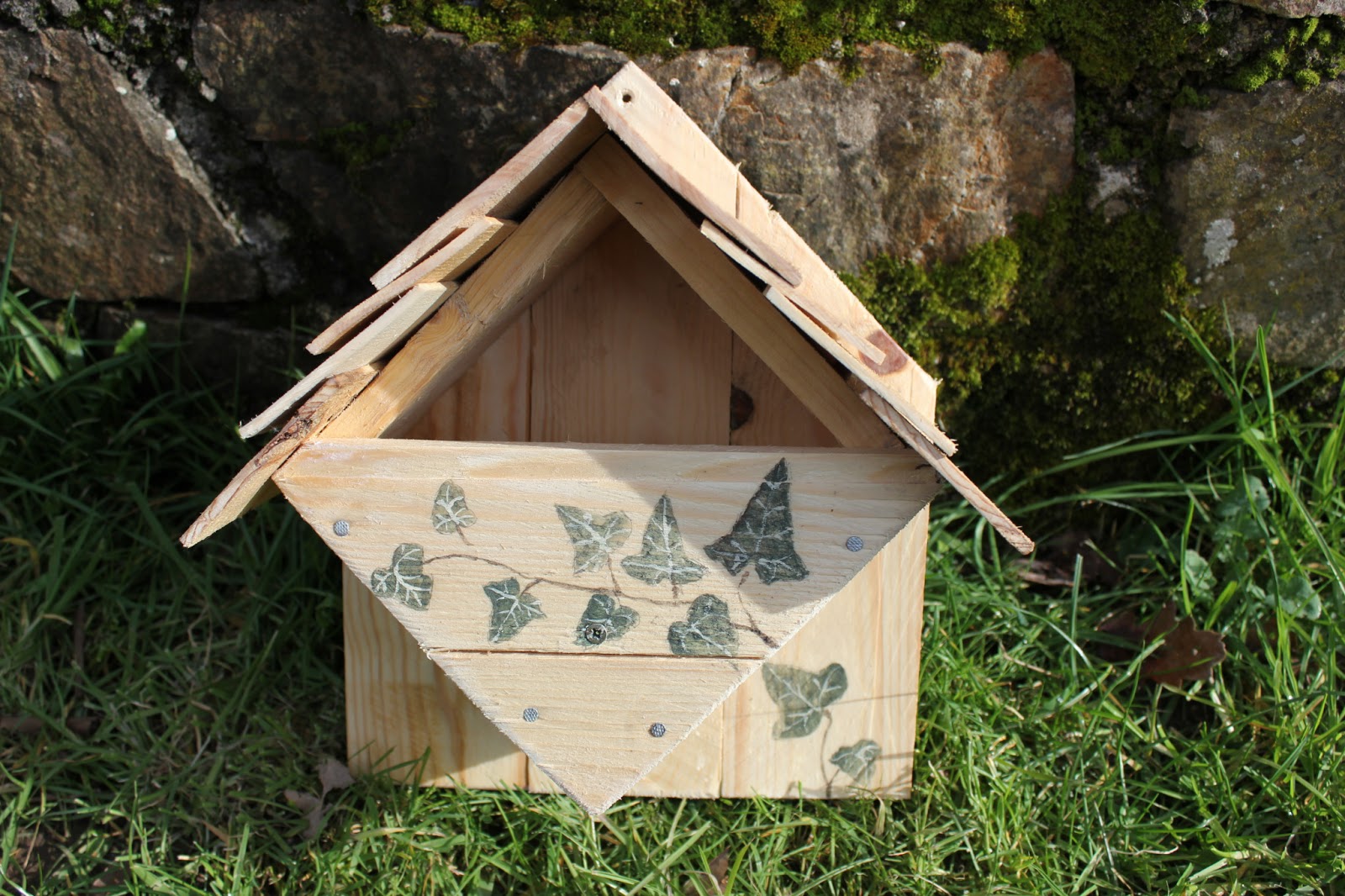 DIY Bird Box for Robins, Wrens, Pied Wagtails, Eastern Bluebirds ...