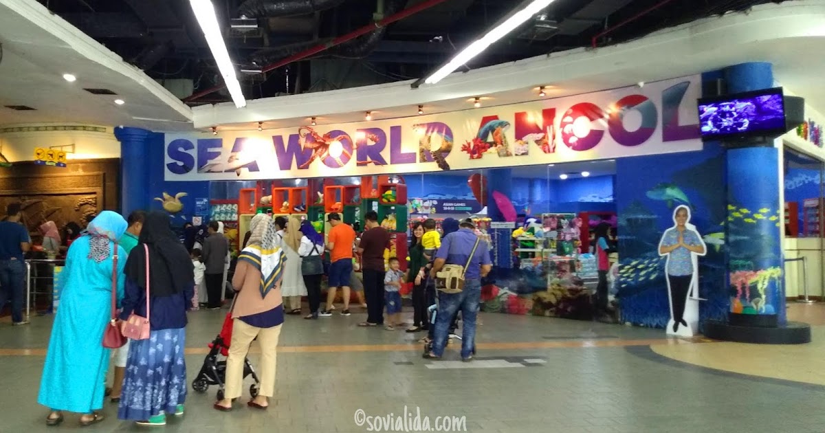 Mengenal Kehidupan Laut di Seaworld Ancol — Sovialida