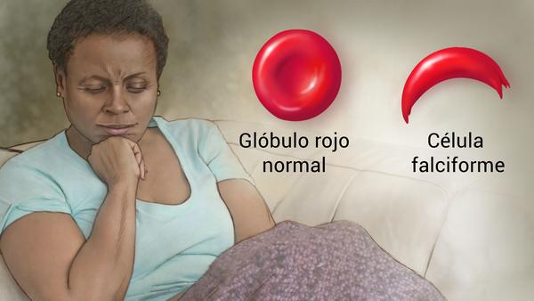 yo y biologia : Triptico de la anemia falciforme