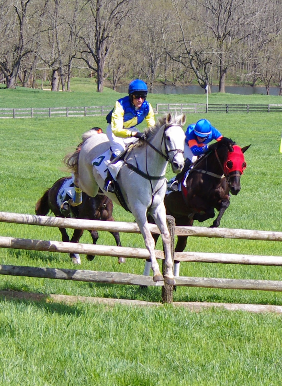 The Life of an Anglo-American: Next Up It's The Grand National...