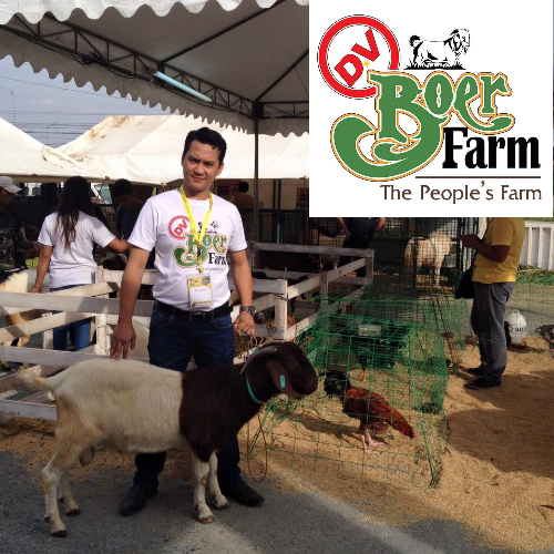 DV BOER FARM: The People's Farm