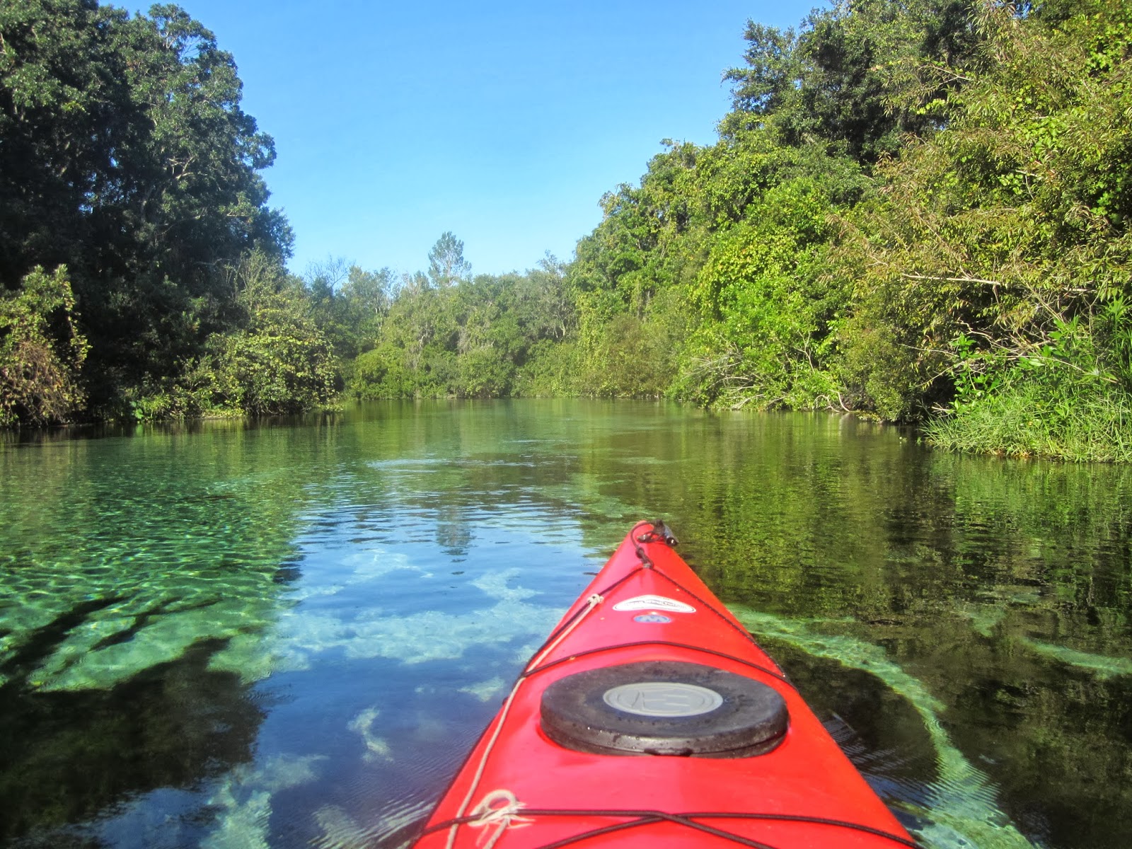 Dave's Yak Tales: Weeki Wachee, Mud River, and Salt Spring
