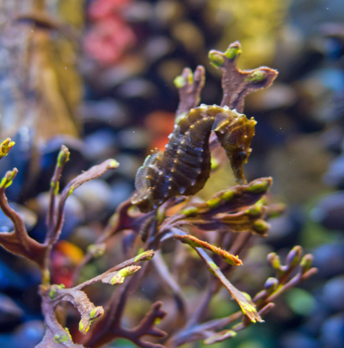 Exhibit Galleries Blog