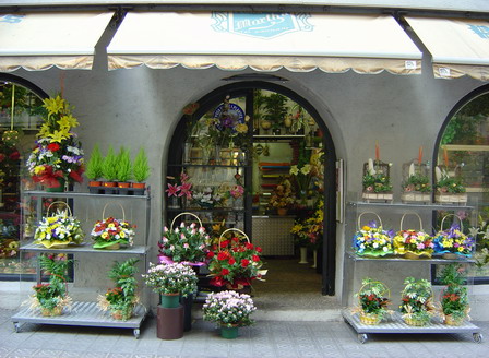 So Glittering: La floristería