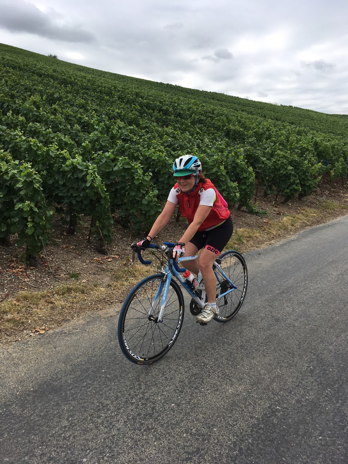 COV Cyclotourisme: La Montagne de Reims