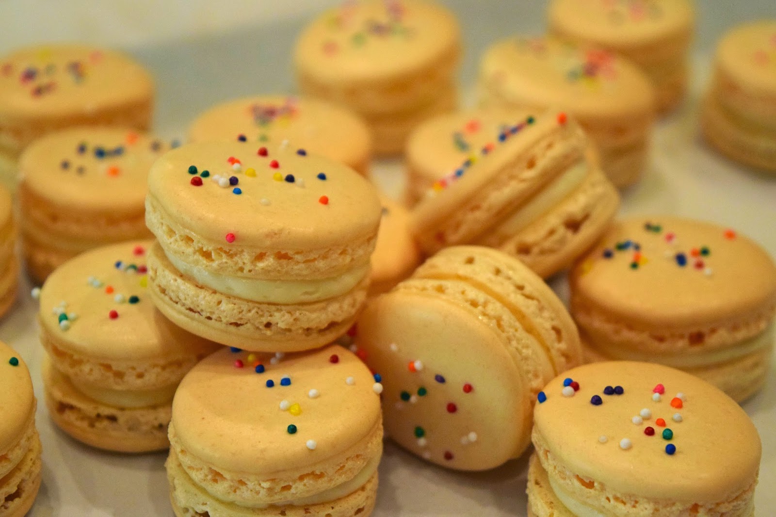 I Should Have Been a Housewife: Vanilla Sprinkle French Macarons