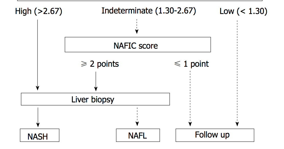 Hospitalist ~なんでも無い科医の勉強ノート~: 非アルコール性脂肪肝, 脂肪性肝炎(NAFLD/NASH): NASHの評価