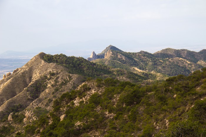 CERRO DEL AGUDO DESDE LOS VIVES