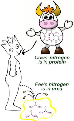 Science Minus Details: Why Pee is Cool - entry #5 - "How Pee Unites You ...