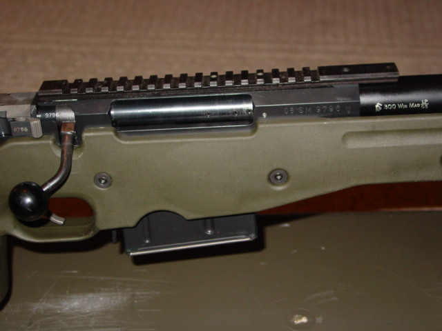 Fusil Accuracy AW | Armas de Fuego