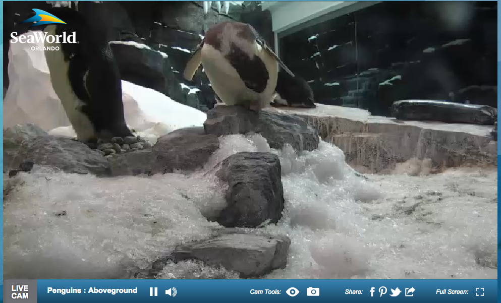 On the Go Teacher Mama: Thematic Thursday: Penguins