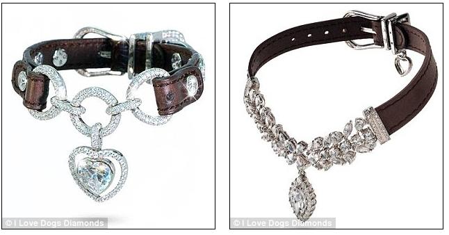 Thaipanda+: Diamonds are a dog's best friend! The world's most ...