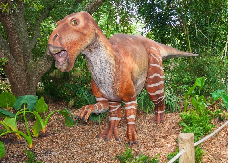 EL JOVE PALEONTÒLEG: d’octubre 2013