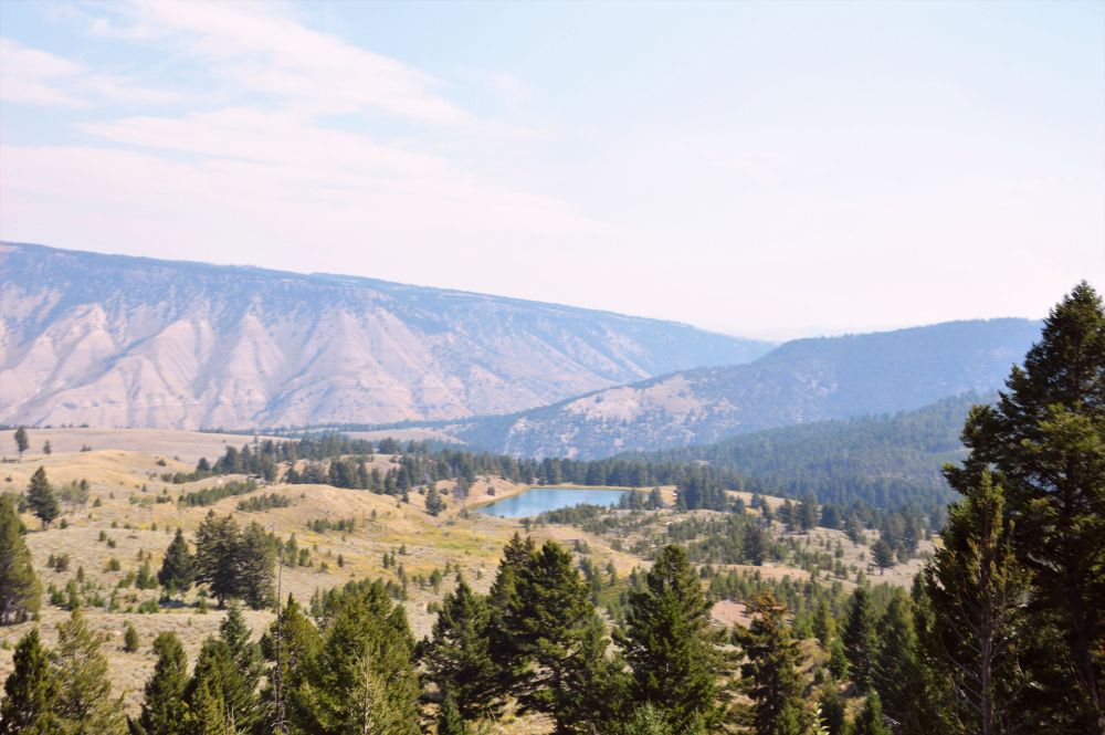 Yellowstone i Drive Thru | SO COLORS