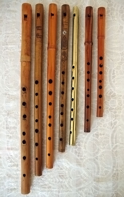 Kaval nedir ne demektir? Anlamı - Laf Sözlük