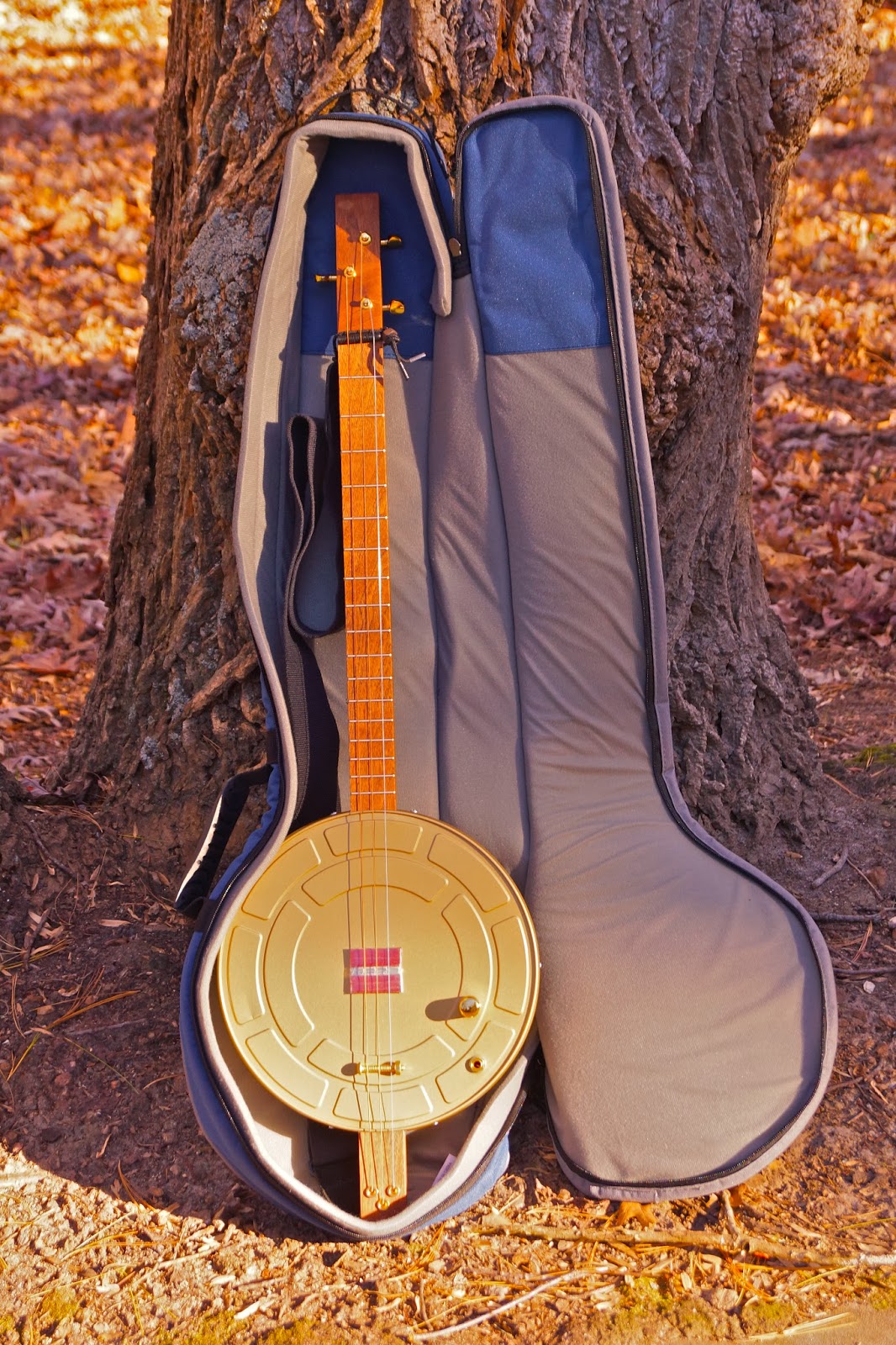 BillyRadd Music: Canjo Gig Bag