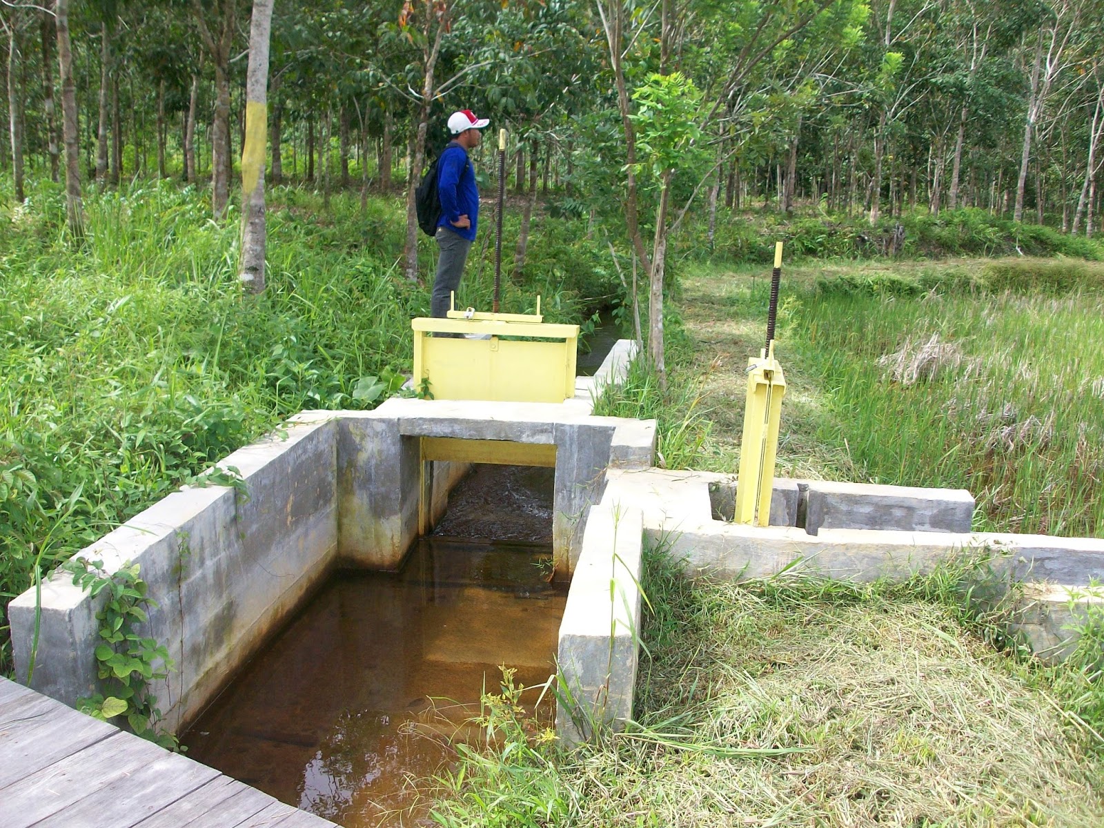 Desain Irigasi: CONTOH GAMBAR DESAIN BANGUNAN IRIGASI