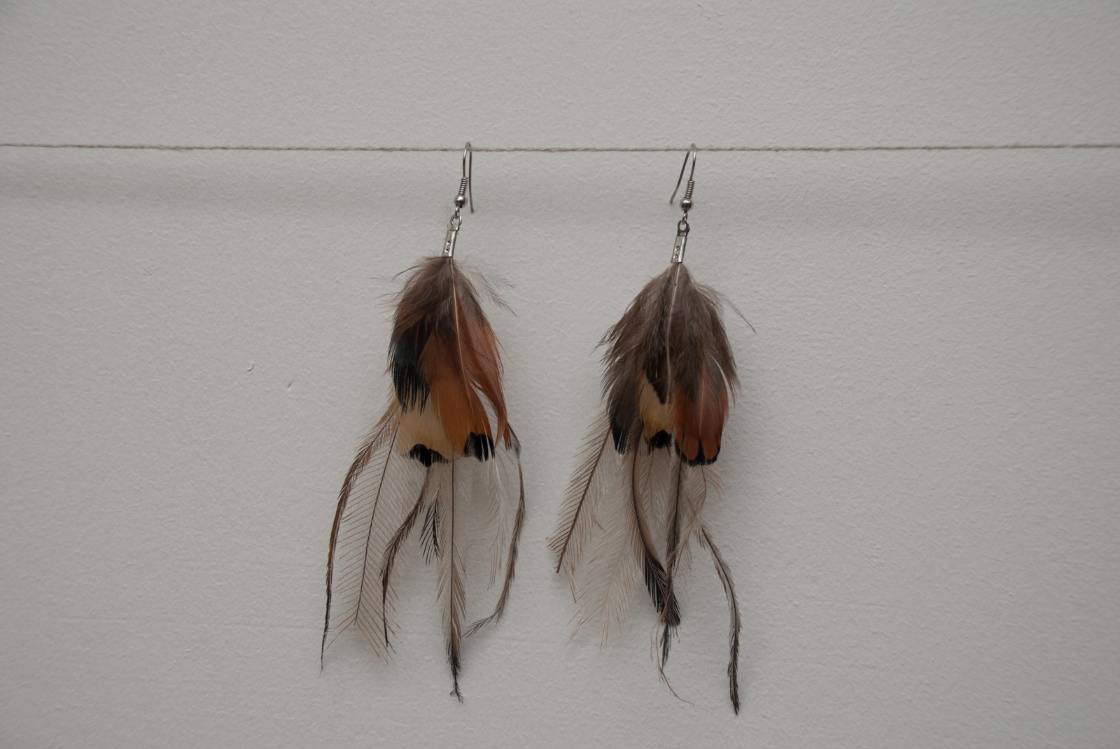 Bartacks and Singletrack: Carnival of the Animals: Part III - The Scrub Hen