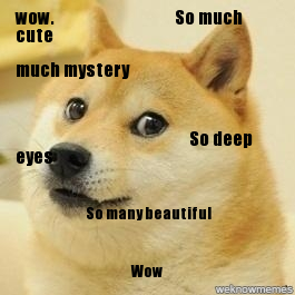 Boktimmen: Such doge. Much eyes. So many fun.