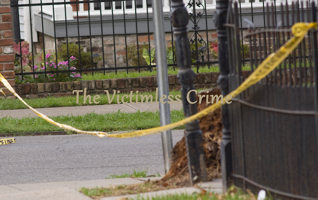 What Is A Crime Crime Meaning Of Crime How To Style what-is-a-crime-crime-meaning-of-crime-how-to-style