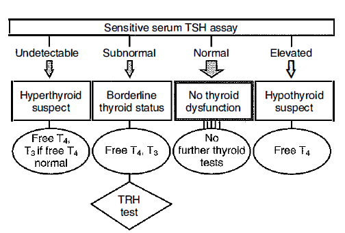 Biochemistry Class notes: Thyroid profile testing or Thyroid function ...