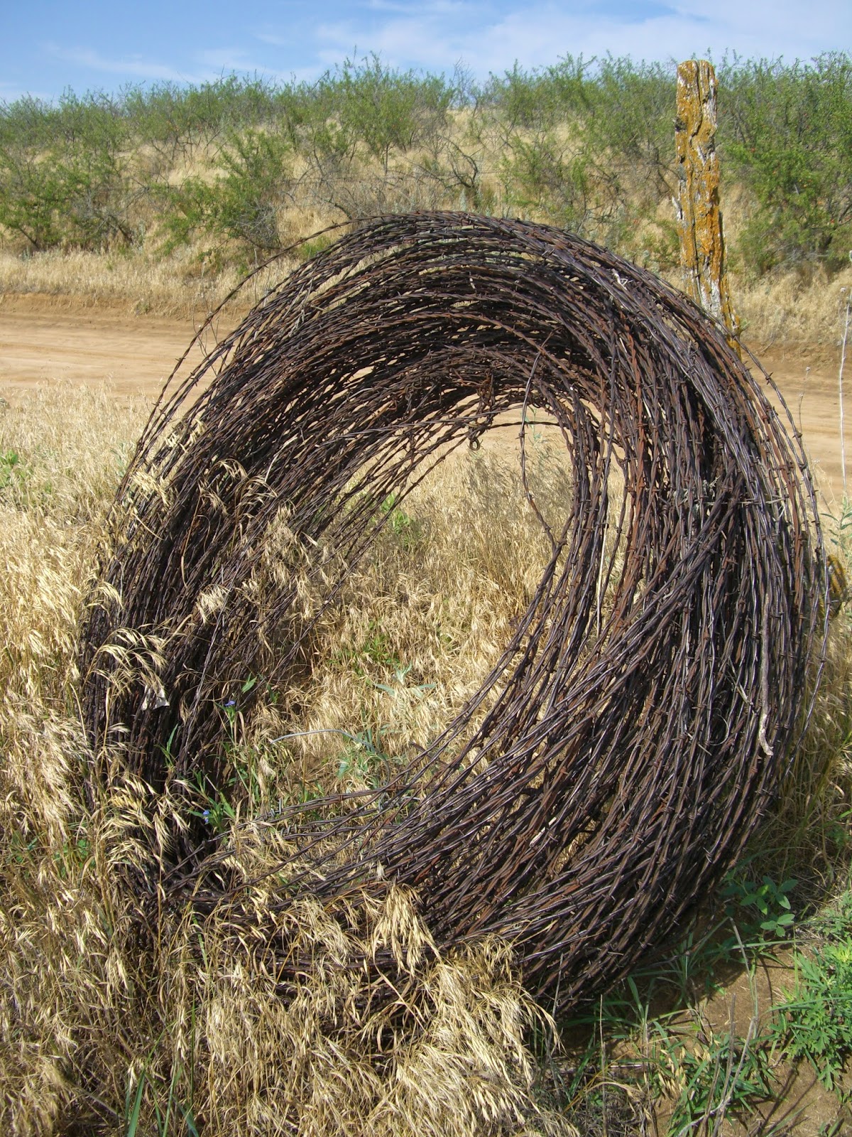 https://lynfenwick.blogspot.com: Barbed wire, Barb wire, or Bob wire?