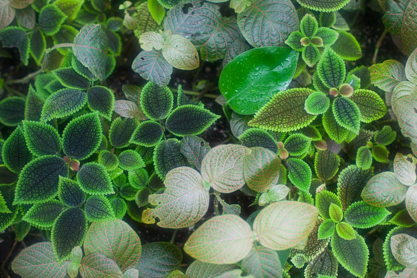 KAILEY J. FLYNN PHOTOGRAPHY