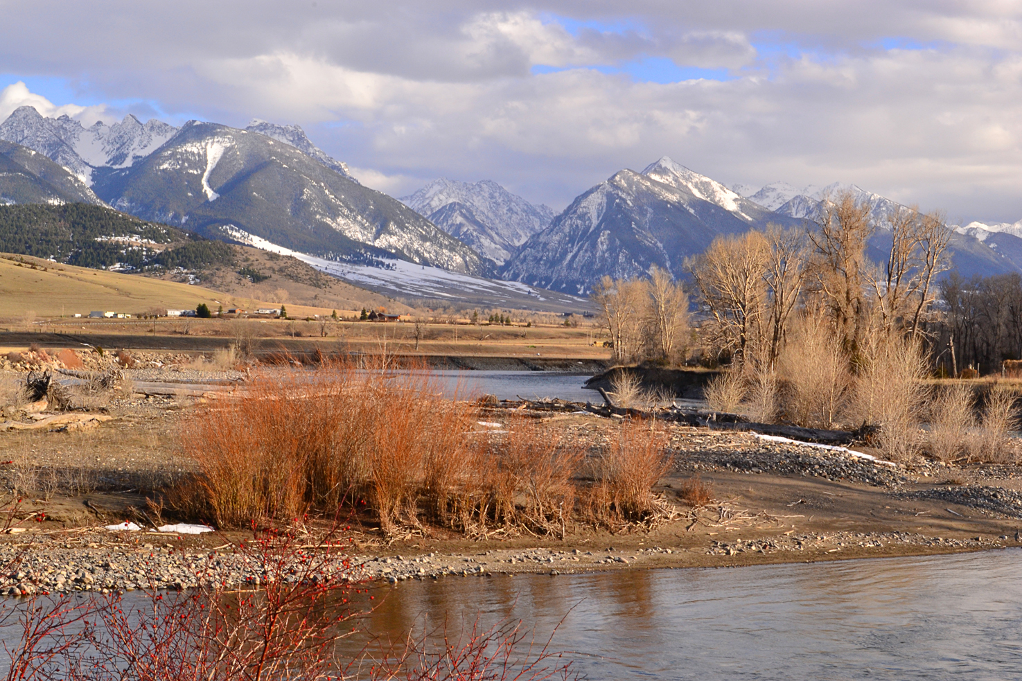 Putah Creek Photo: Paradise Valley, Montana
