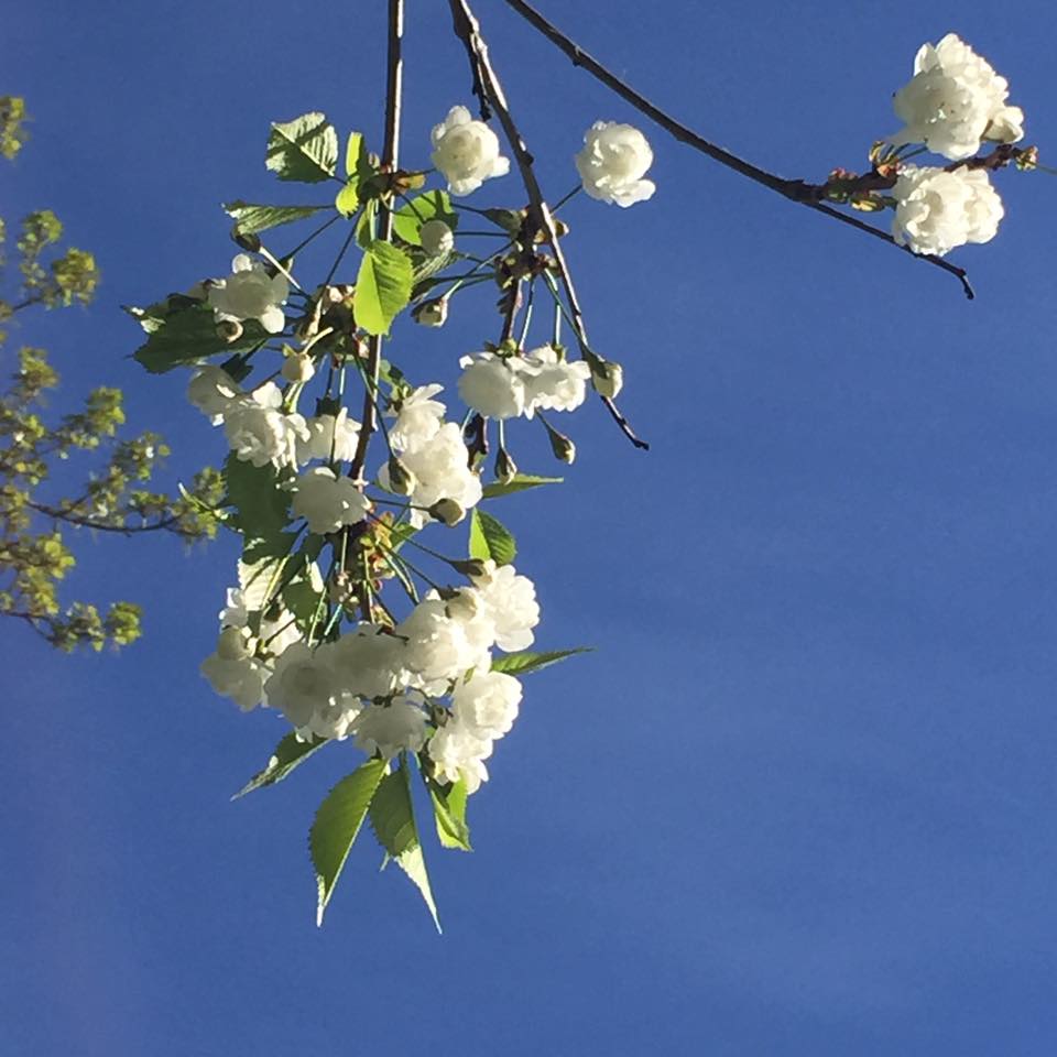 OI IHANA TOUKOKUU | Tuula's life