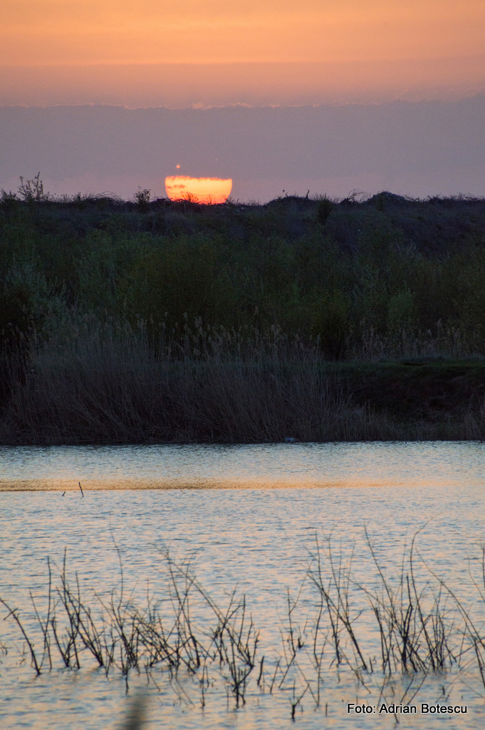 Poveştile mele: Locuri de vizitat in Bucuresti – Lacul Morii si ...