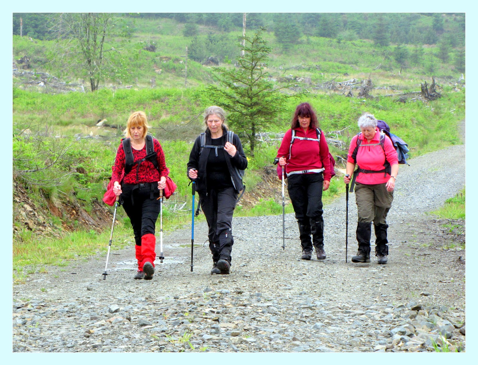 The Glebe Blog: Wigtownshire Ramblers Glenwhan Circular June 2012