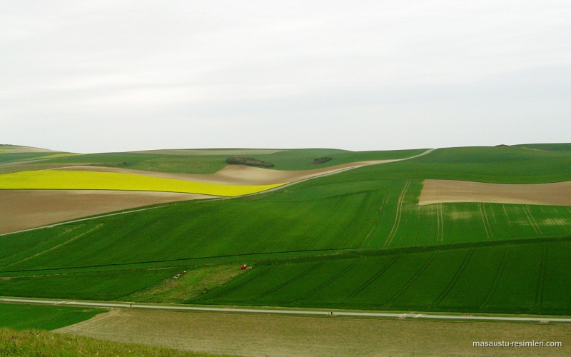 TARLA RESİMLERİ-Manzaralar