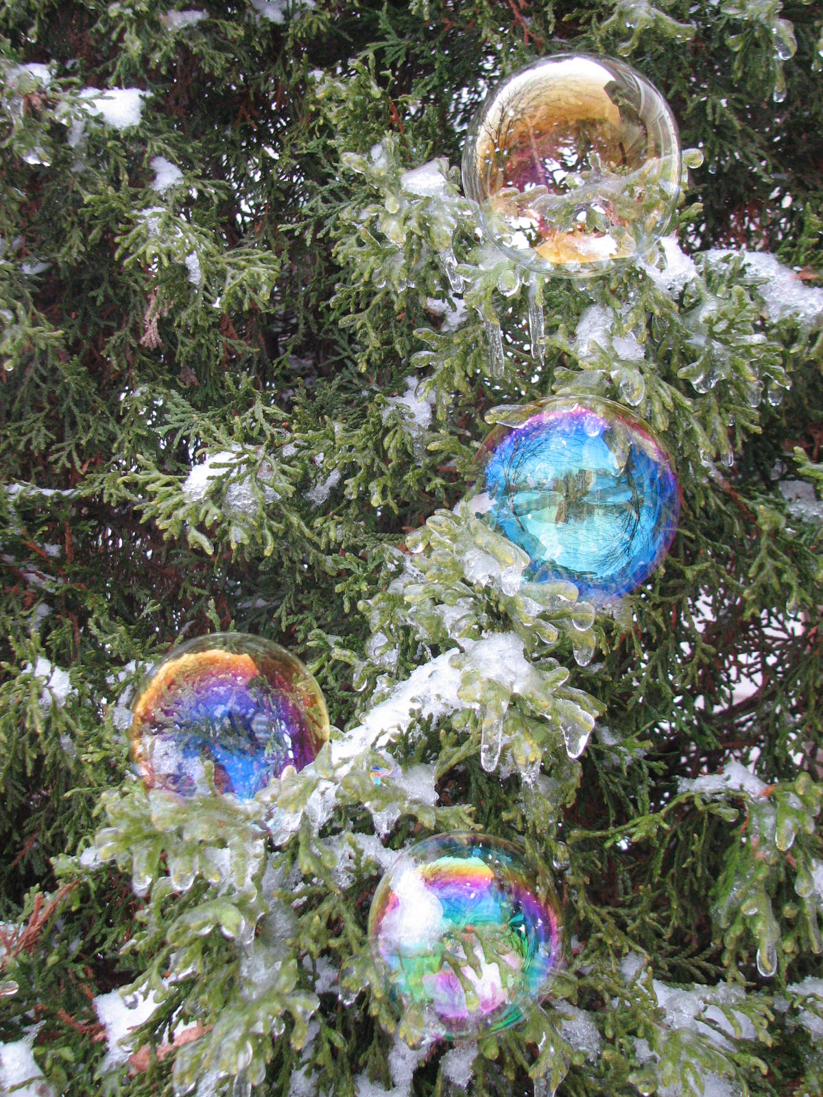 Les Projets Créatifs de Fleur de Paix: Bulles de savon en hiver