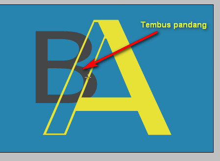 Citra Tembus Pandang