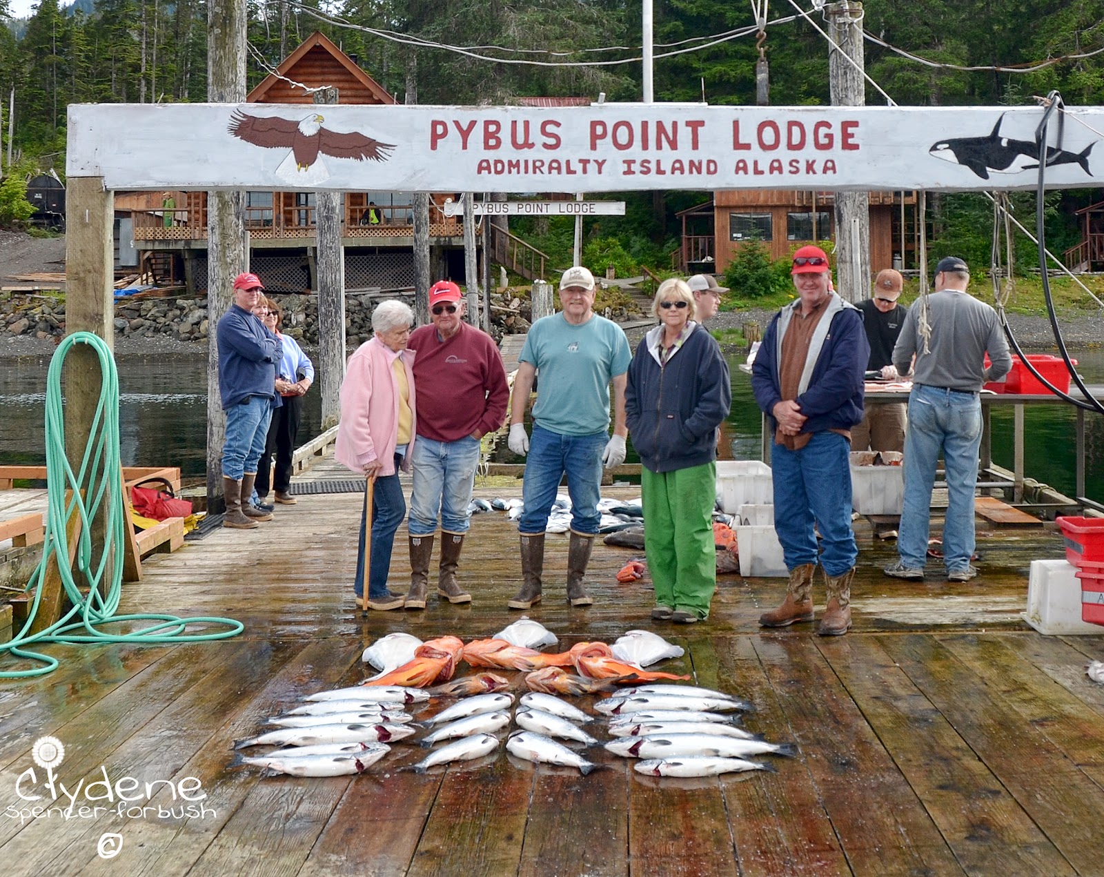 Skunk Hollow: Pybus Point Lodge, Alaska