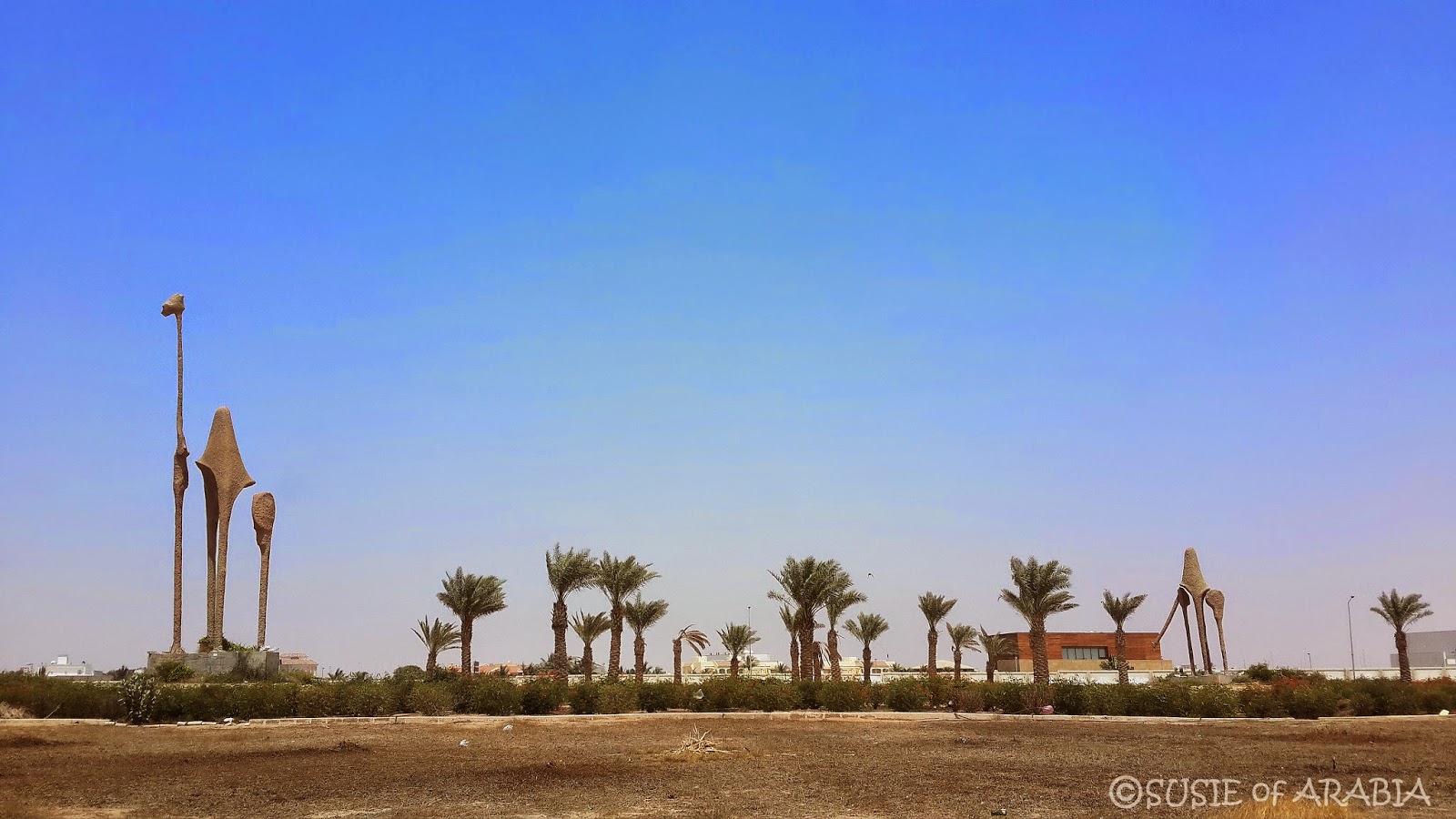 Jeddah Daily Photo: Jeddah: Camel Sculpture