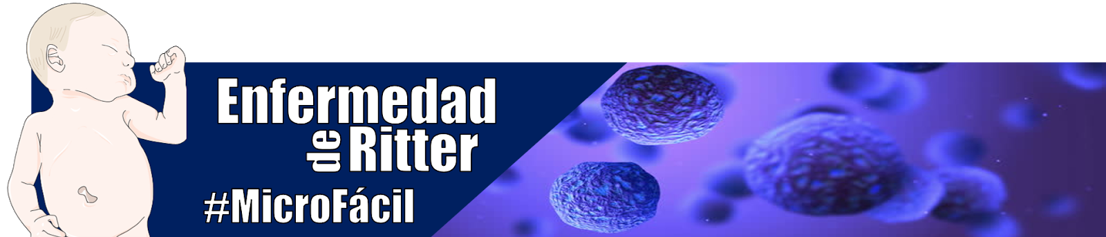 Staphylococcus aureus