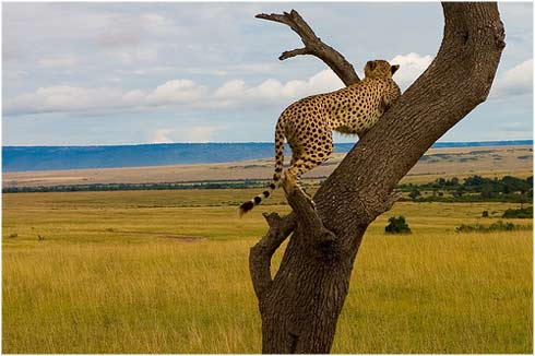jgvvvvvvvvvvv: DIVERSIDAD DE ECOSISTEMAS EN EL PLANETA