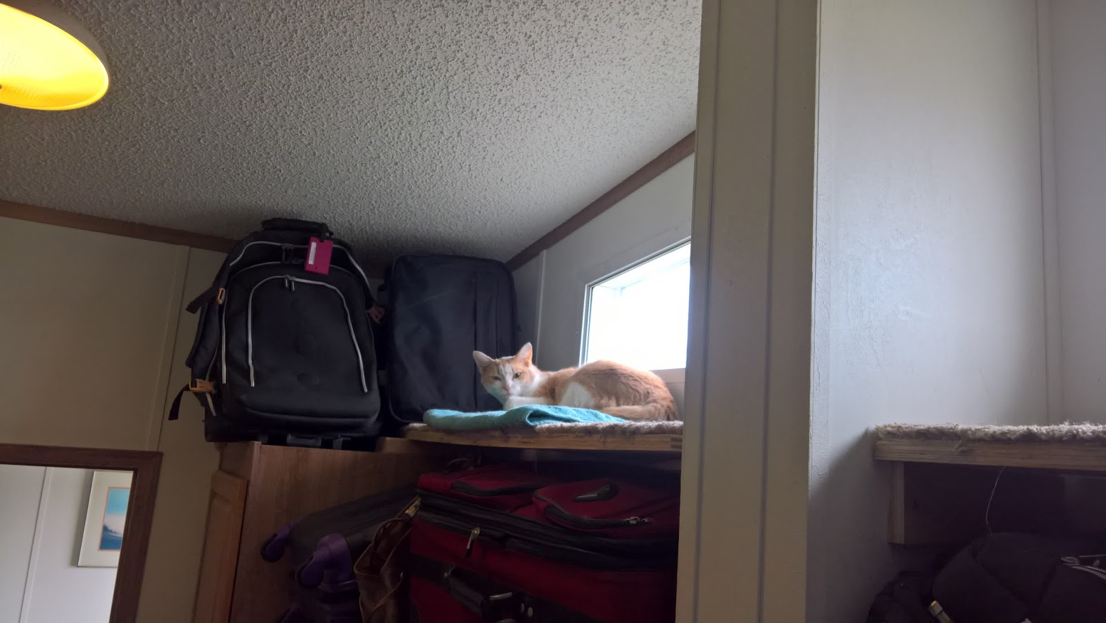 Chant du Départ: Buried Treasure