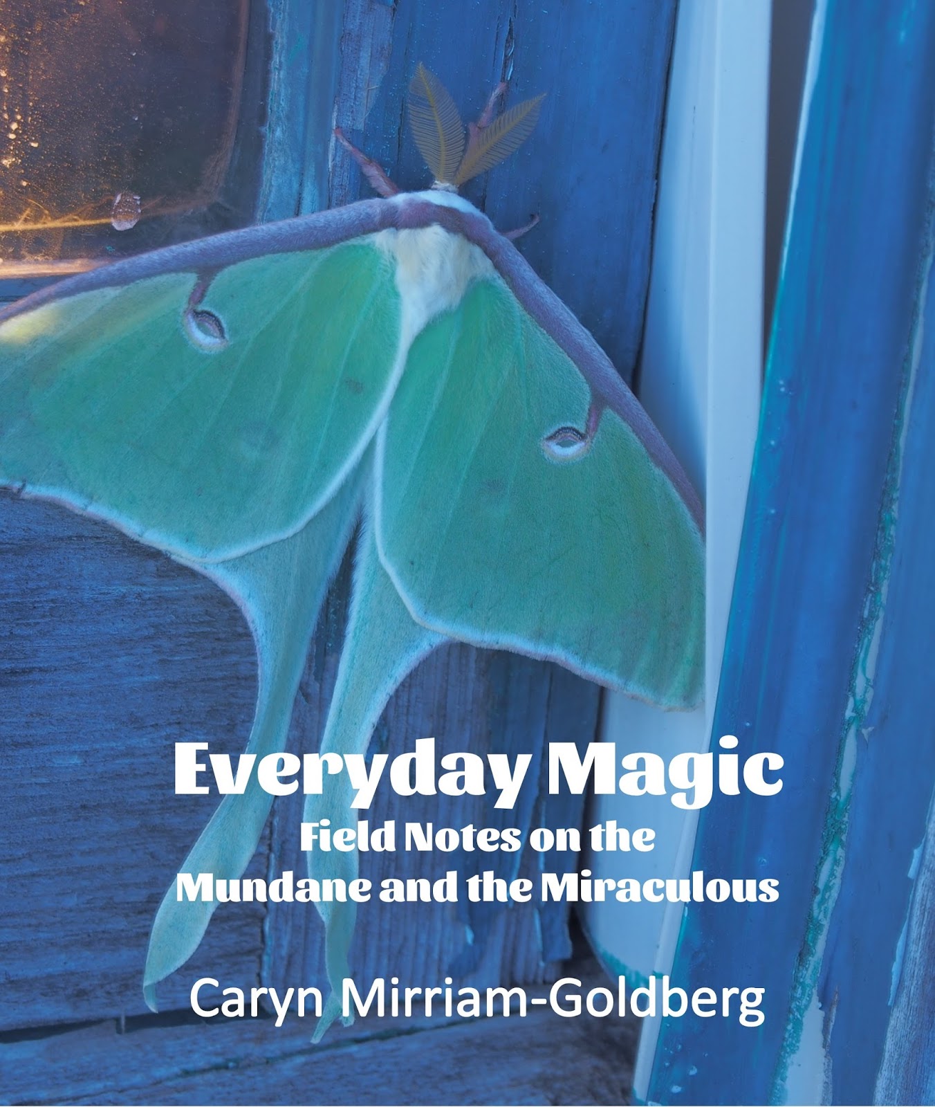 Meadowlark Press, LLC: Everyday Magic: Field Notes on the Mundane and ...