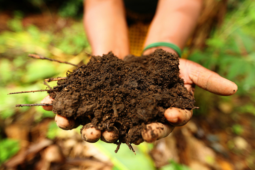 Ilmu Tanah - Biologizone