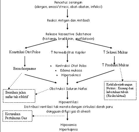 Pathway Asma | Saijo Ndakik
