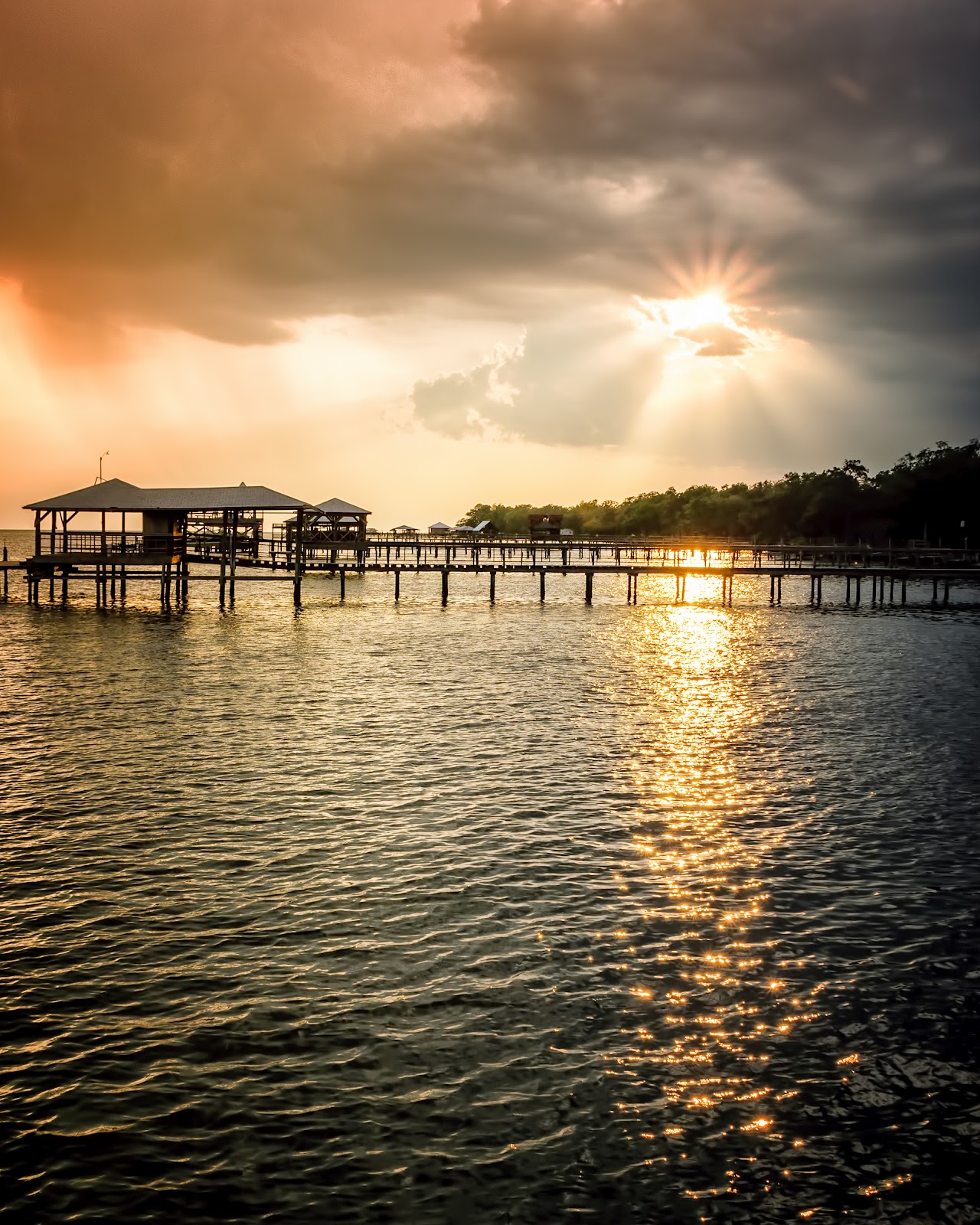 My NYIP Experience: Getting Unit 2 Submissions Ready