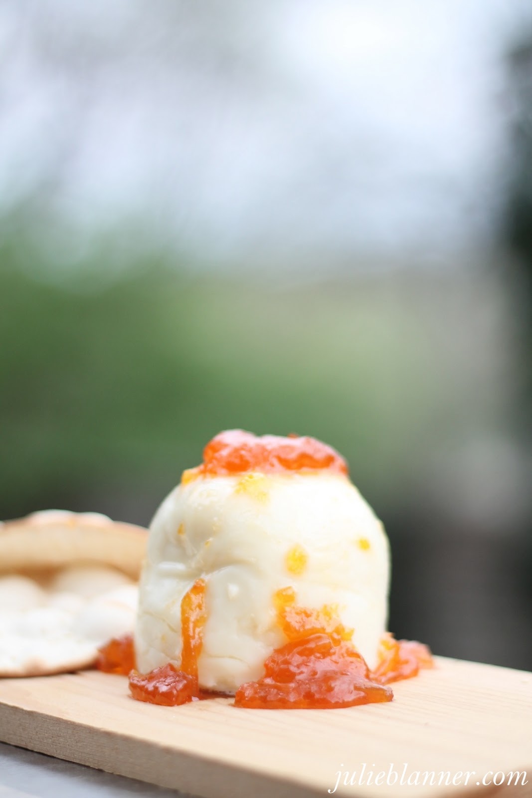 Grilled Appetizer - Julie Blanner