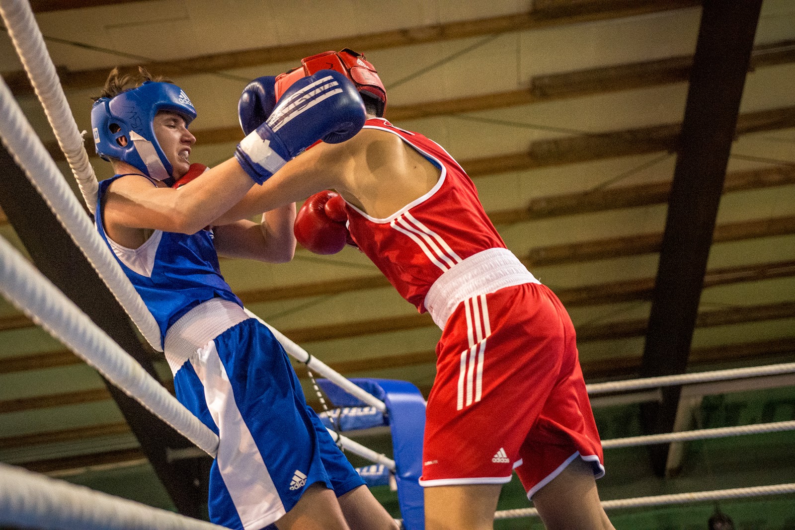 TageBilder: Boxen – BW-Meisterschaften Jugendklassen in Ruit