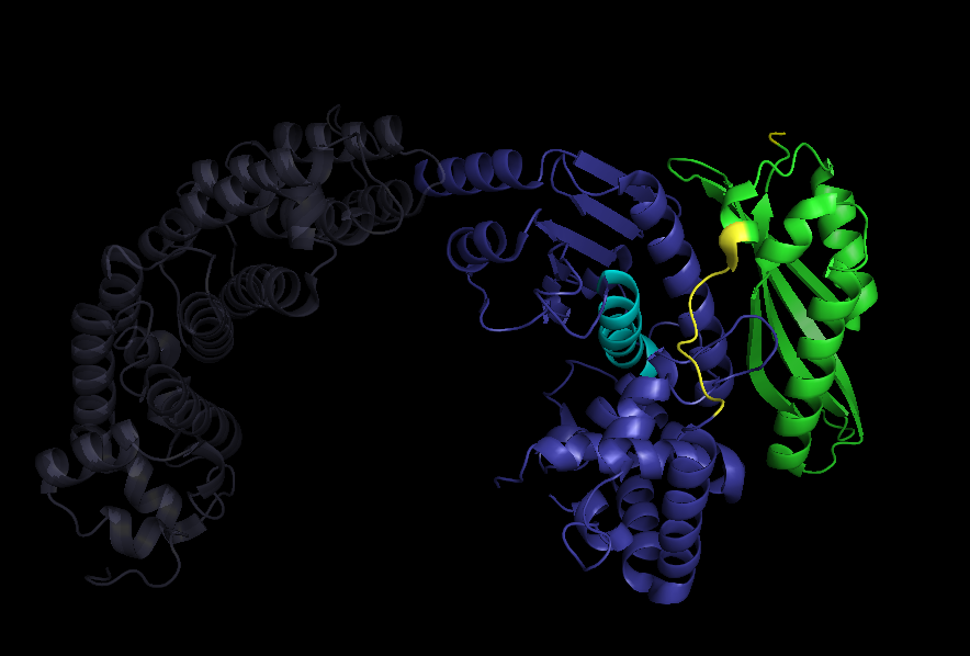 Structure of Collagenase G and Mechanism of Bacterial Collagenolysis ...
