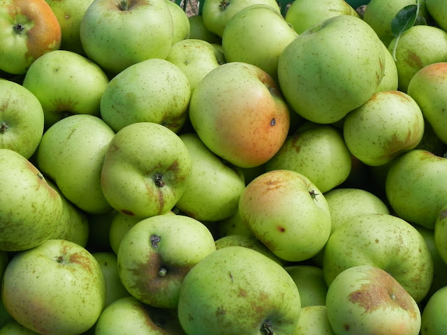 MÁS QUE IMÁGENES: 2013